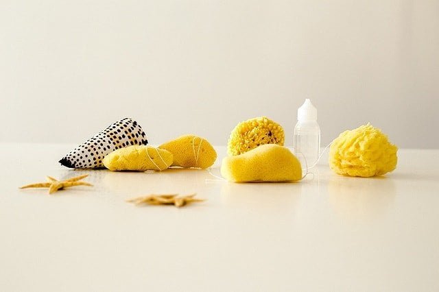 5 Best Menstrual Sponges: Reviews & Buying Guide 2018